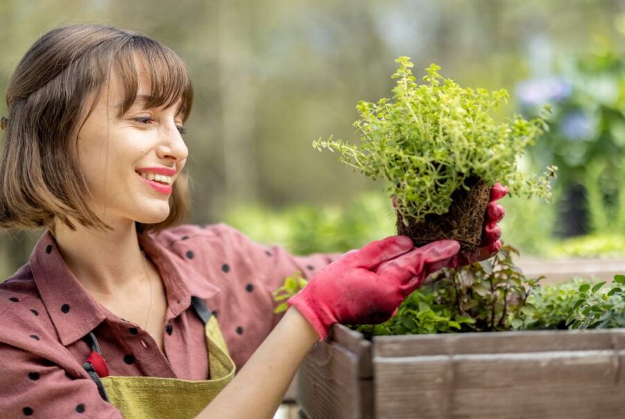 Guía para cultivar un jardín en primavera: plantas y semillas ...